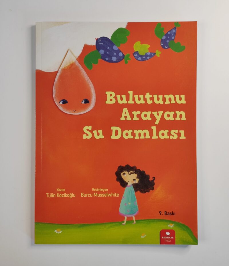 Bulutunu Arayan Su Damlasi – Vakıf Yayınevi (VakifForlag)